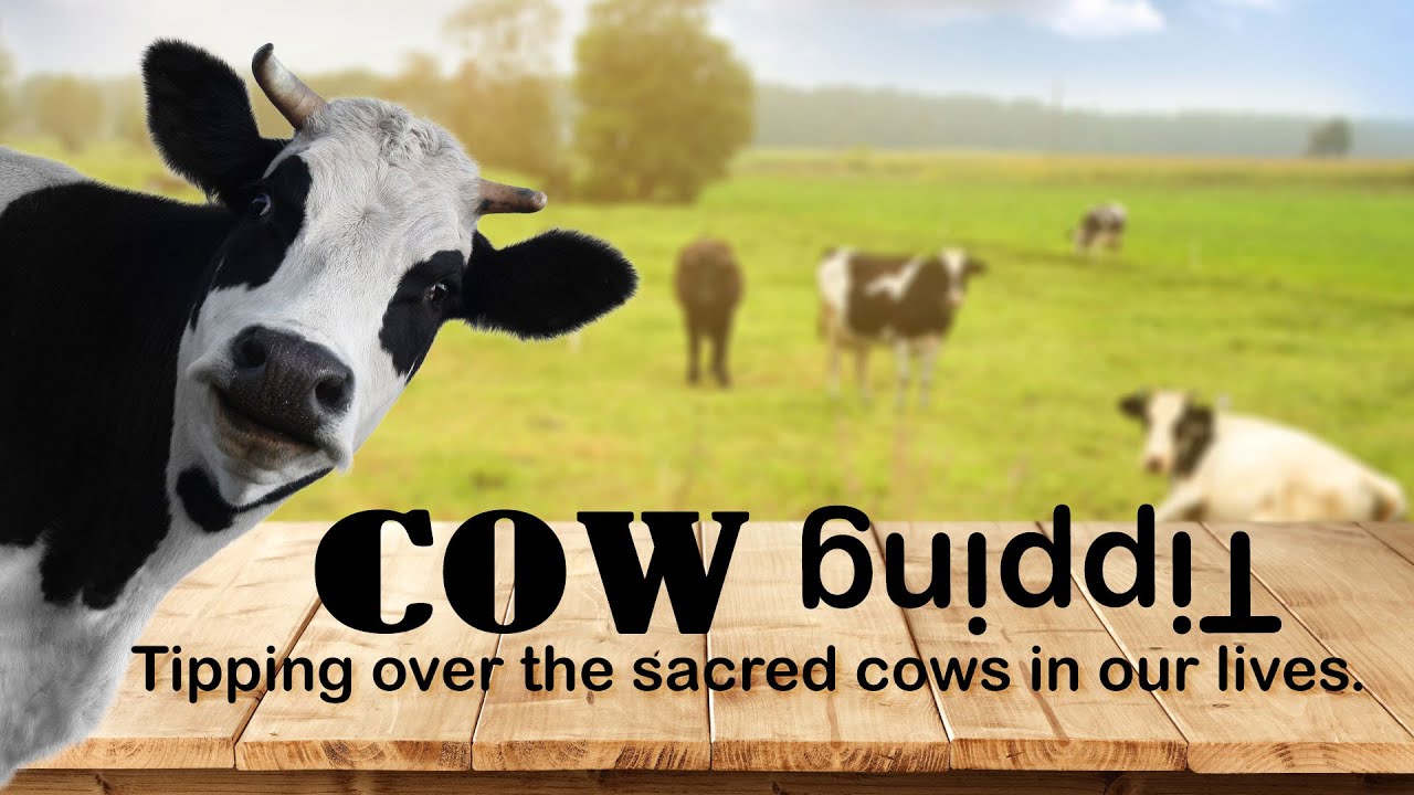 COW TIPPING | Sunday Service, 10:30 AM October 30, 2022 | Rock Spring ...