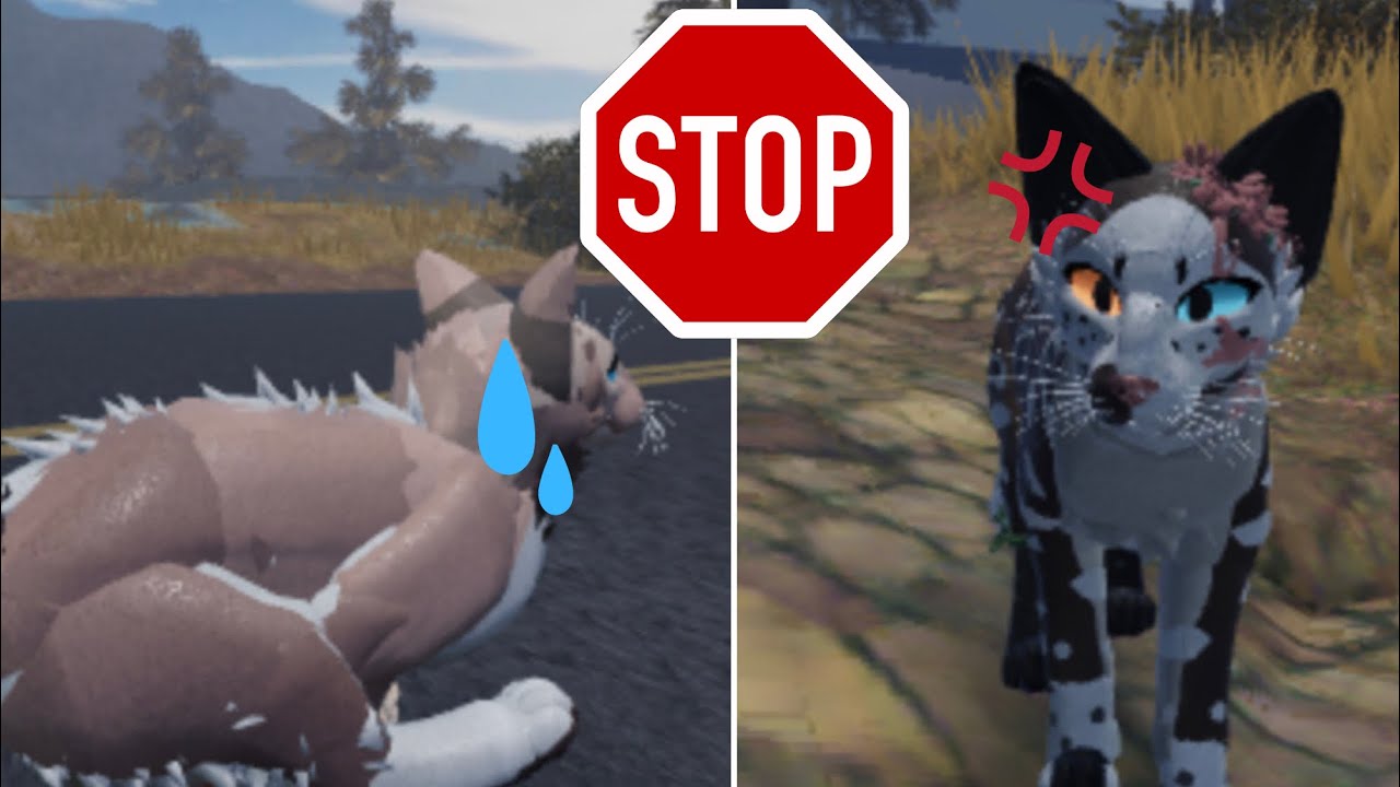 Tumble weed the Jerk||WCUE - YouTube
