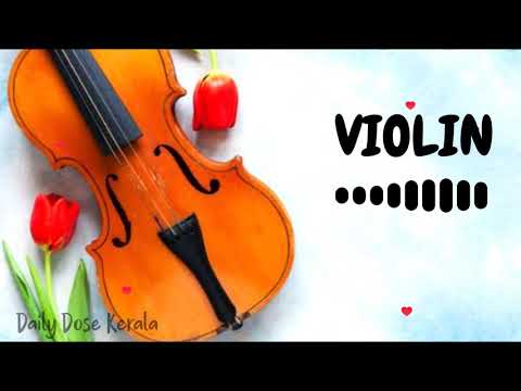 Violin Ringtone || Most Popular Ringtone || Whatsapp Status || Daily Dose Kerala