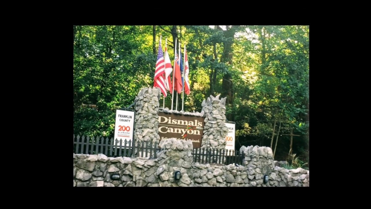 Dismalites- rare species of insects found at Dismals canyon - YouTube