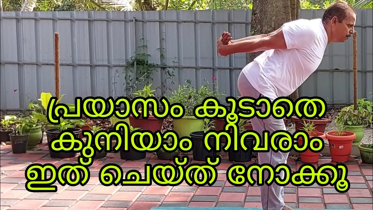 പ്രയാസം കൂടാതെ കുനിയാനും നിവരാനും ||For the body Flexibility ...