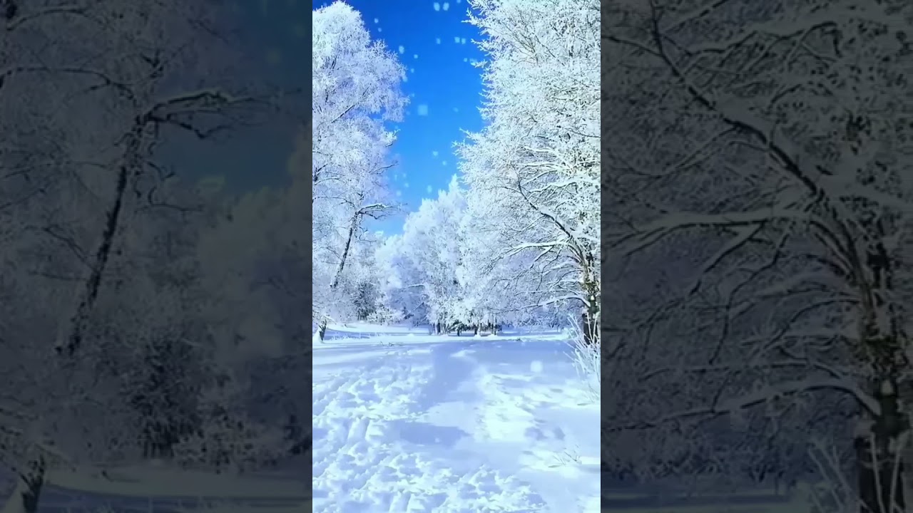 Nuture Place 😍 Nuture Haven place / Nuture whatsapp status🌄 Full screen ...