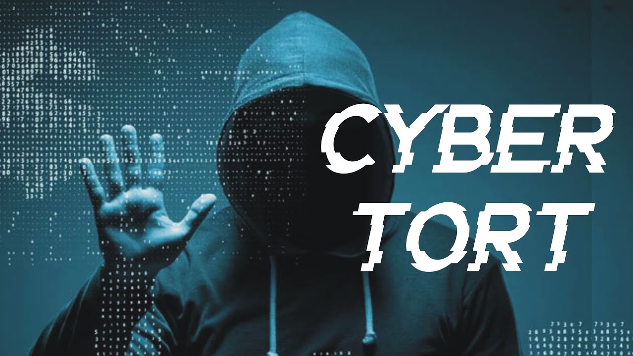 Cyber Tort | Law of Torts | Law Guru - YouTube