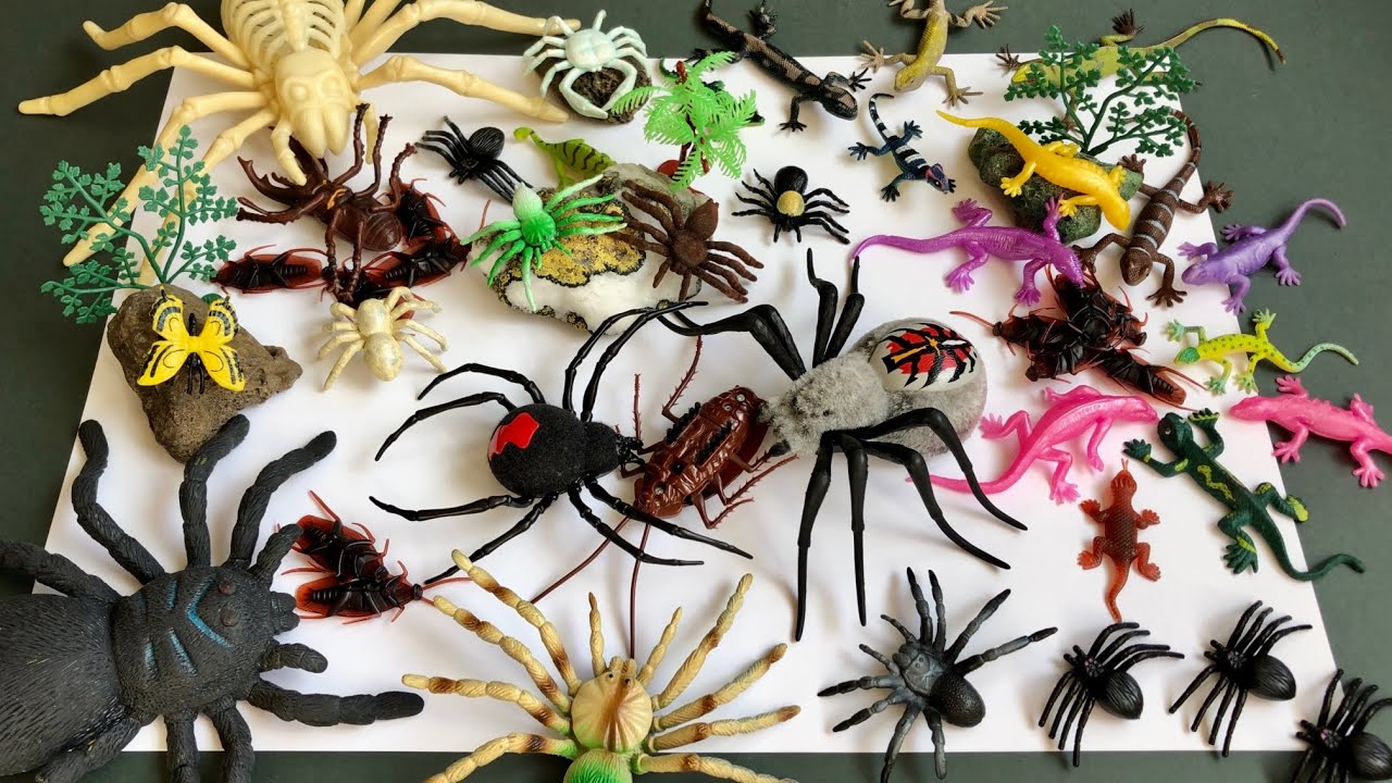 Learn The Names of Insect and Animals. Robotic Crawling Insect Toys ...