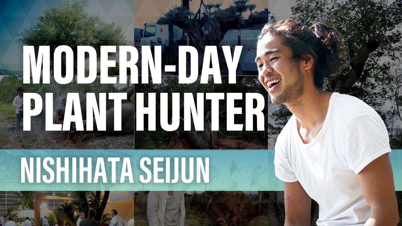 Unique plants that Nishihata Seijun has transported - YouTube