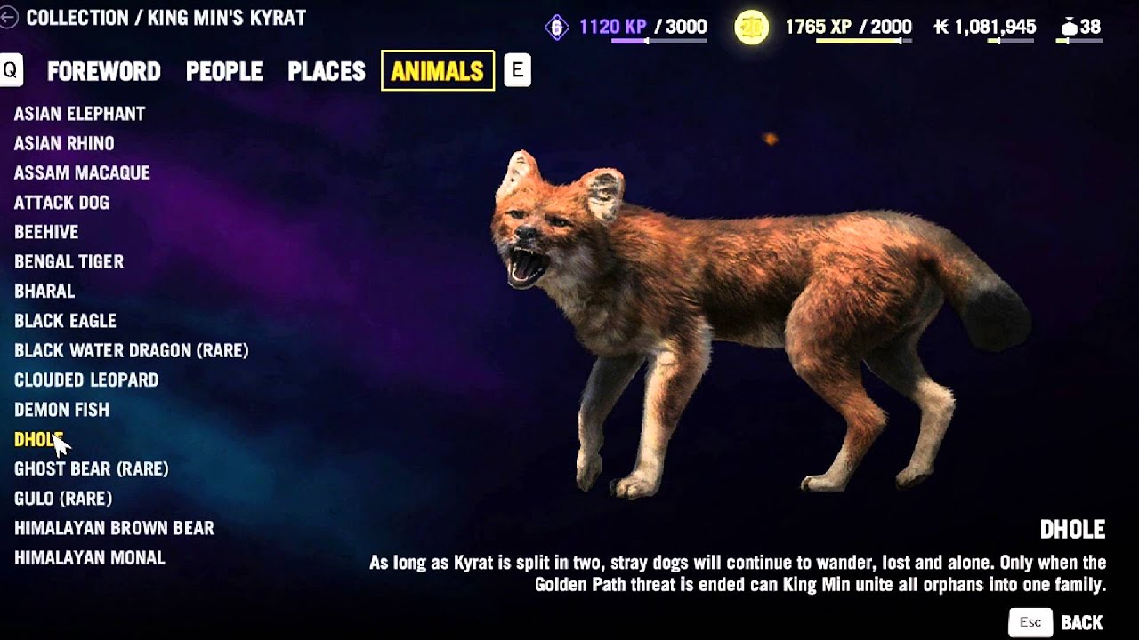 Far Cry 4 Soundtrack - Pause Menu Theme Music - YouTube