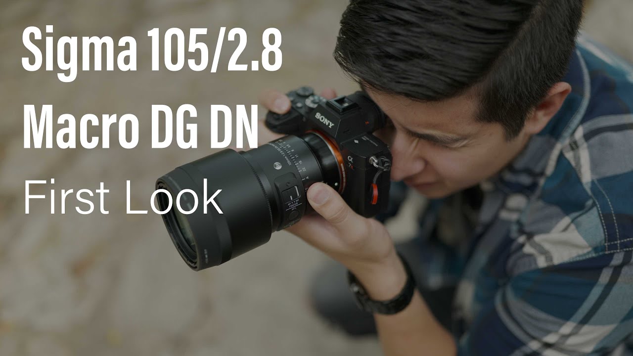 Sigma 105/2.8 Macro DG DN │ First Look │ The Perfect Macro and Portrait ...