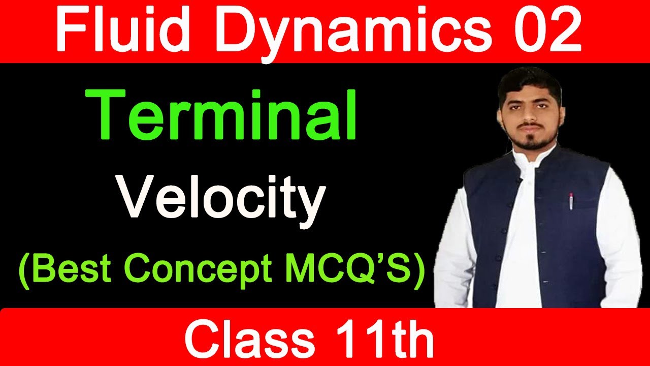 Terminal Velocity | Fluid Dynamics | Chapter 6 | Physics | Class 11 By ...