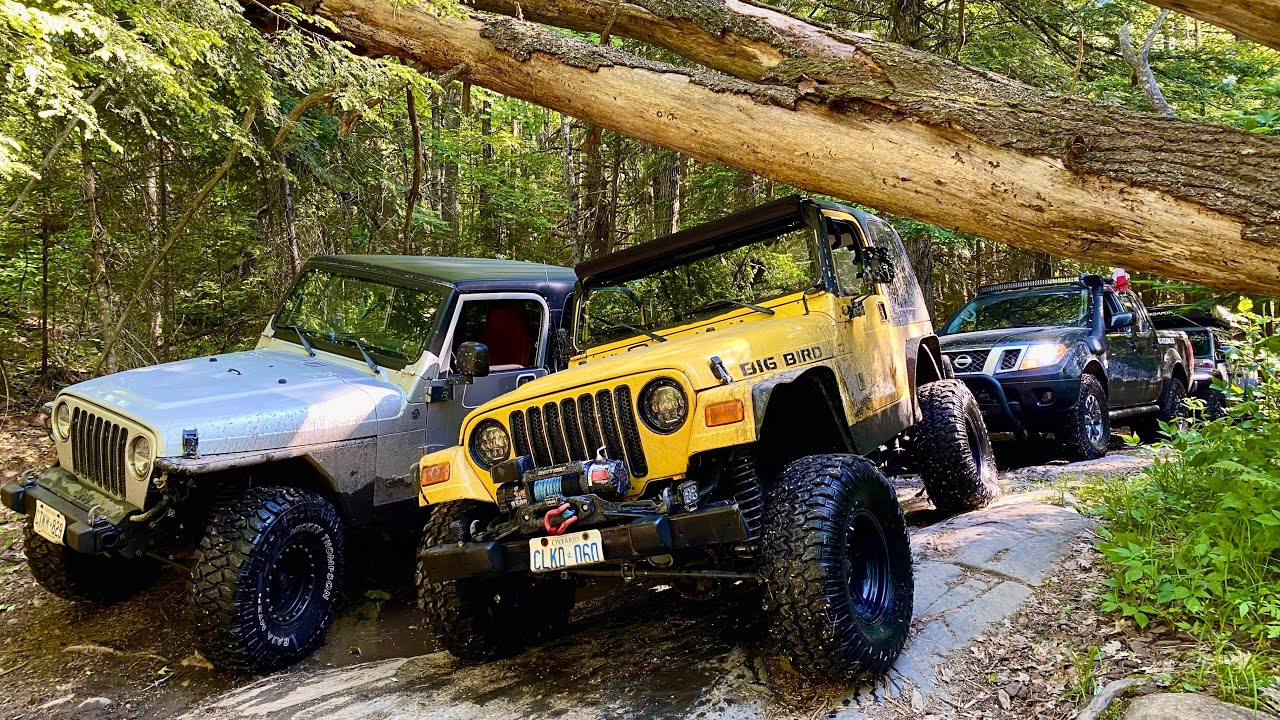 CONCESSION LAKE TRAIL Can The Trucks Hang With The Jeeps? - YouTube
