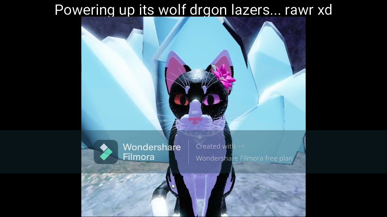 The six types of Luna (WCUE) - YouTube