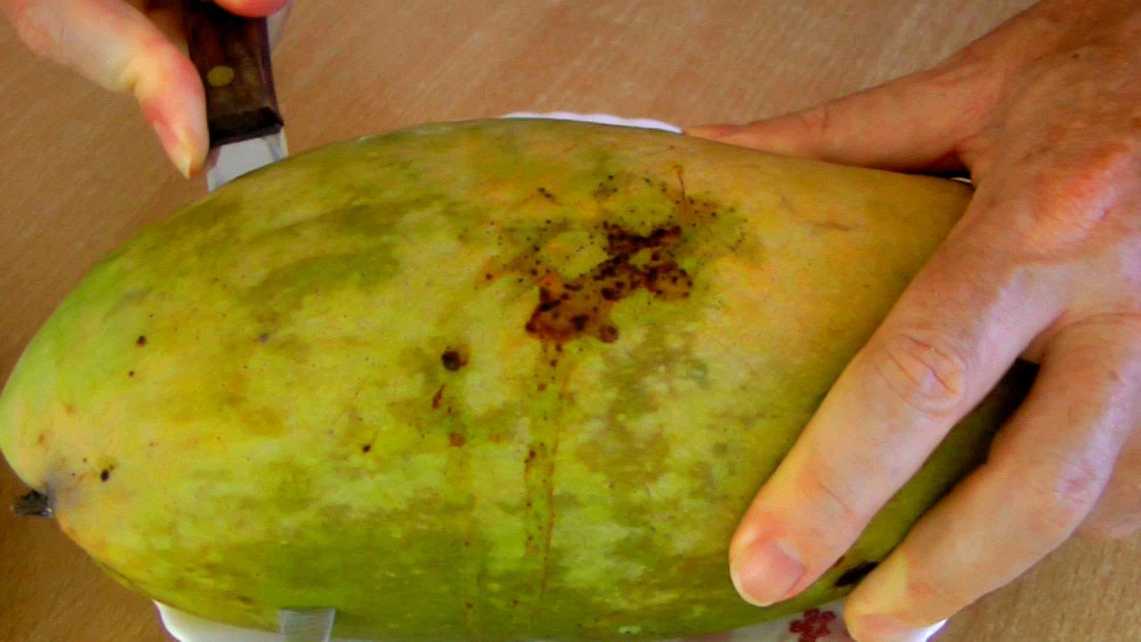 Cutting Open a 1.25 Kilo Mega Mango | HD Video - YouTube
