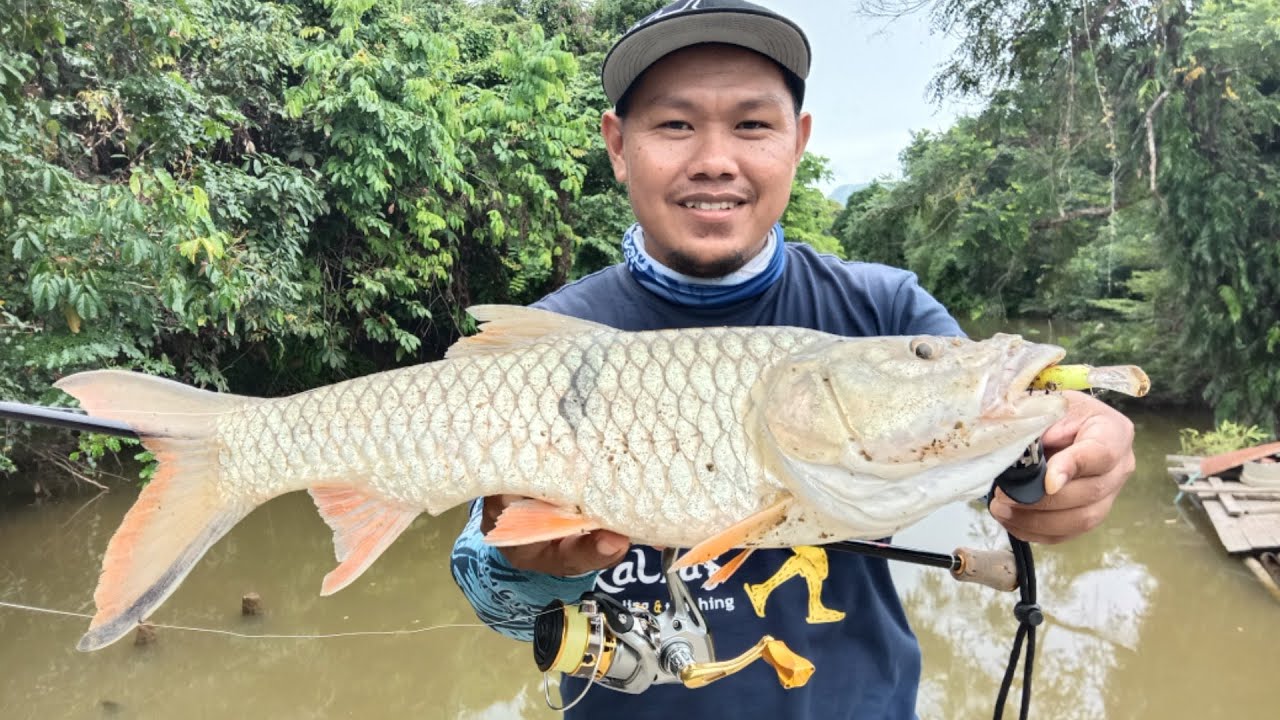 MANCING MANIA IKAN HAMPALA BESAR || SEDONA 1000 ft CANGKEK GEN4 - YouTube