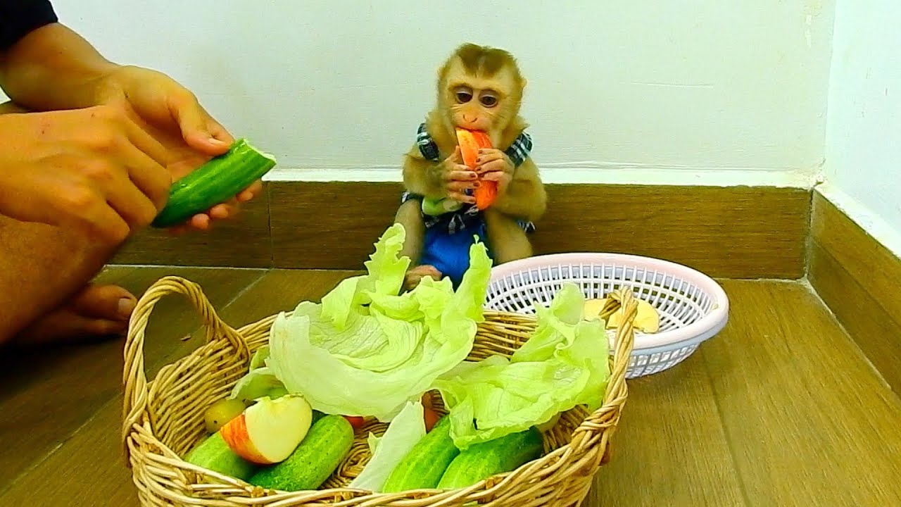 Julie enjoy yummy snack with plenty of vegetables. - YouTube