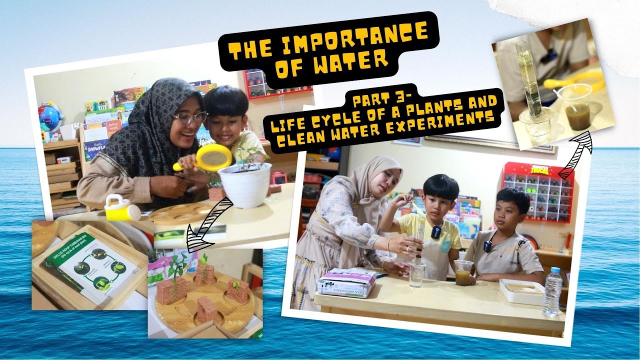 The Importance of Water (Life Cycle of A Plants and Clean Water ...