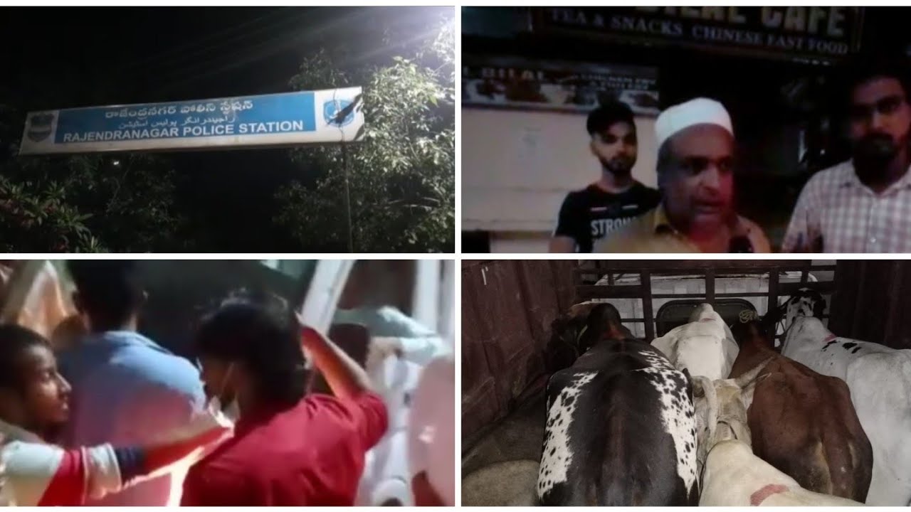 Eid Ul Adha Ke Moukhe Per Bade Janwar Ki Gadi Ko Rok k Kuch Shar pasand ...