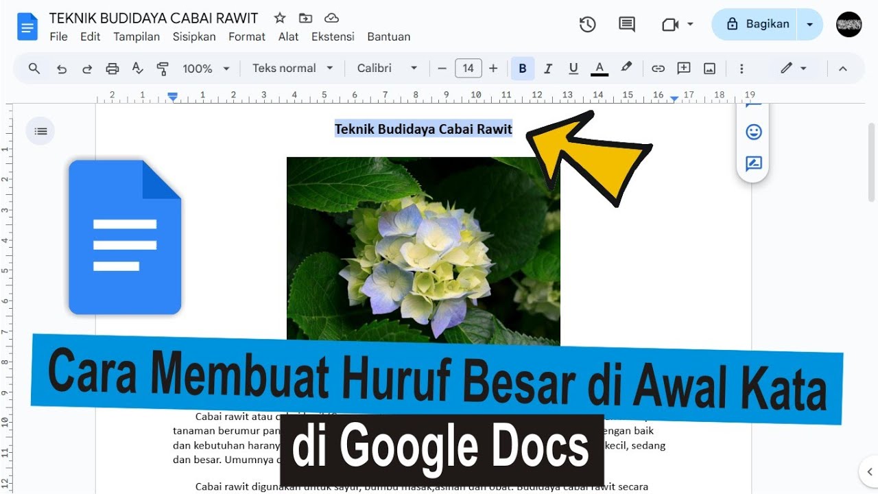 Cara Membuat Huruf Besar di Awal Kata Pada Google Docs • # ...