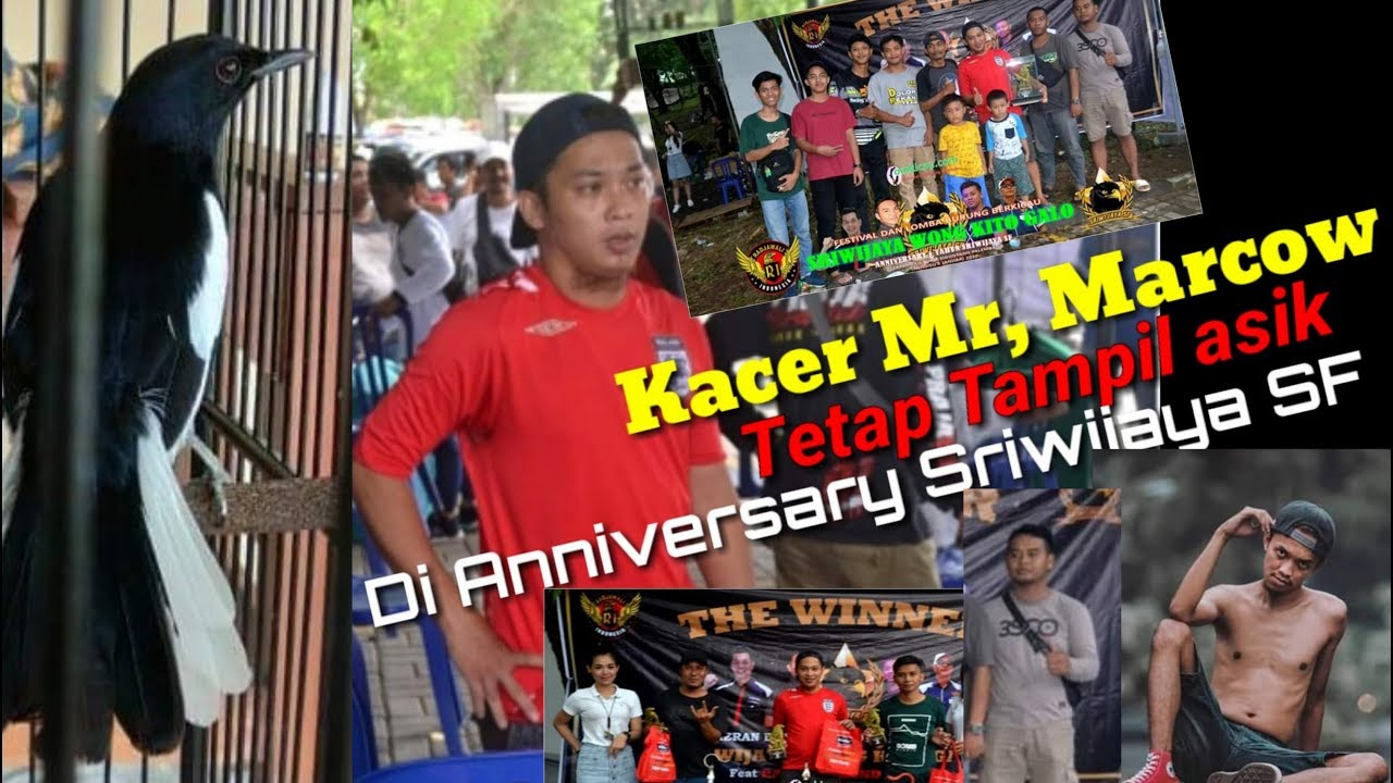 KACER MR, MARCOW TETAP TAMPIL ASIK, di Anniversary 1th Sriwijaya SF ...