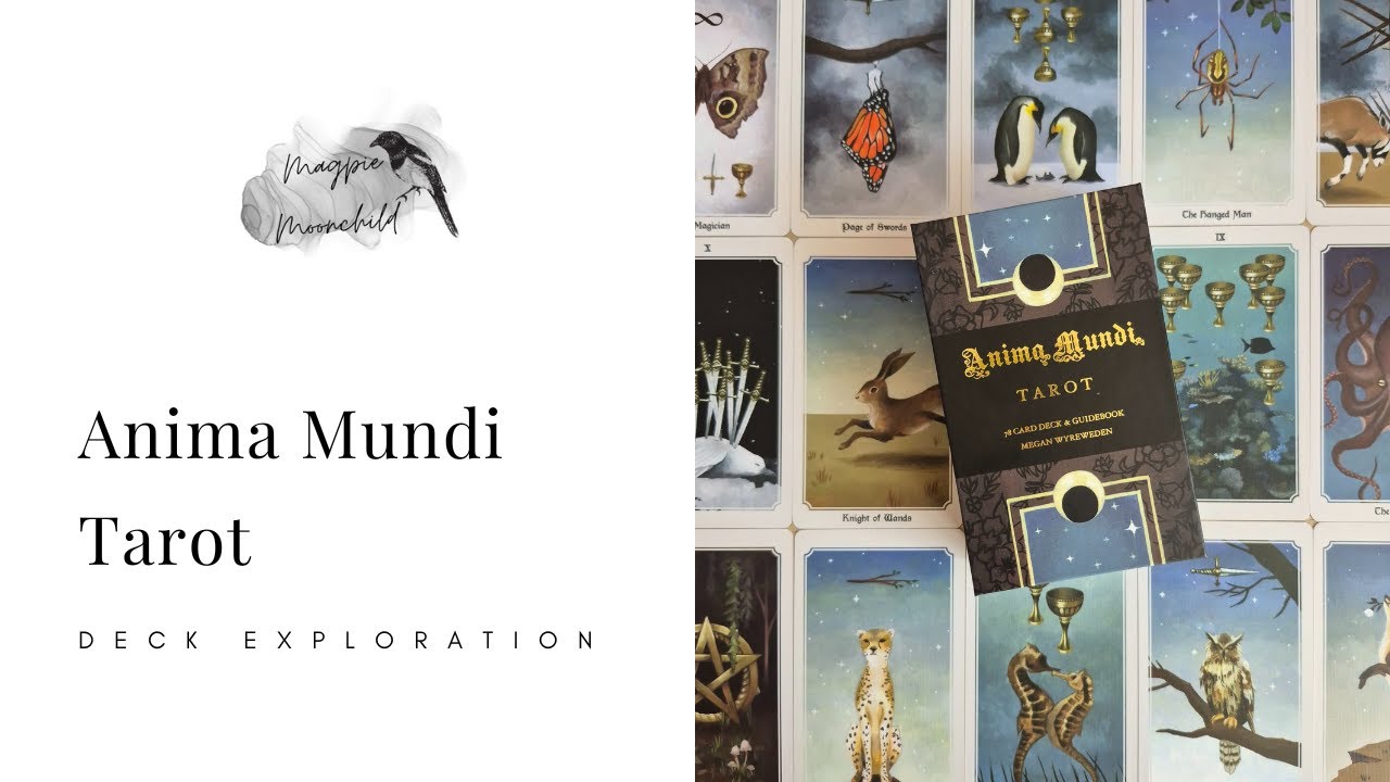 Anima Mundi Tarot by Megan Wyreweden - Deck Exploration - YouTube