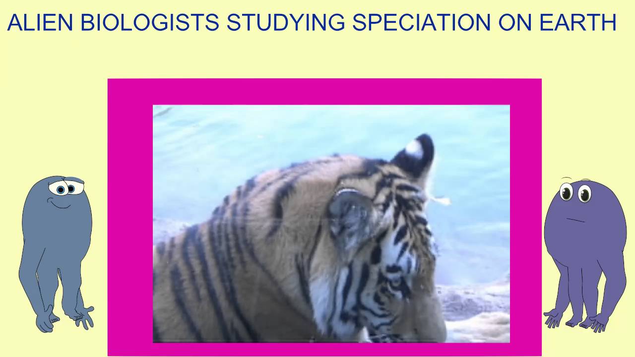 SPECIATION 1: WHY SO MANY DIVERSE SPECIES? MUTATION - YouTube