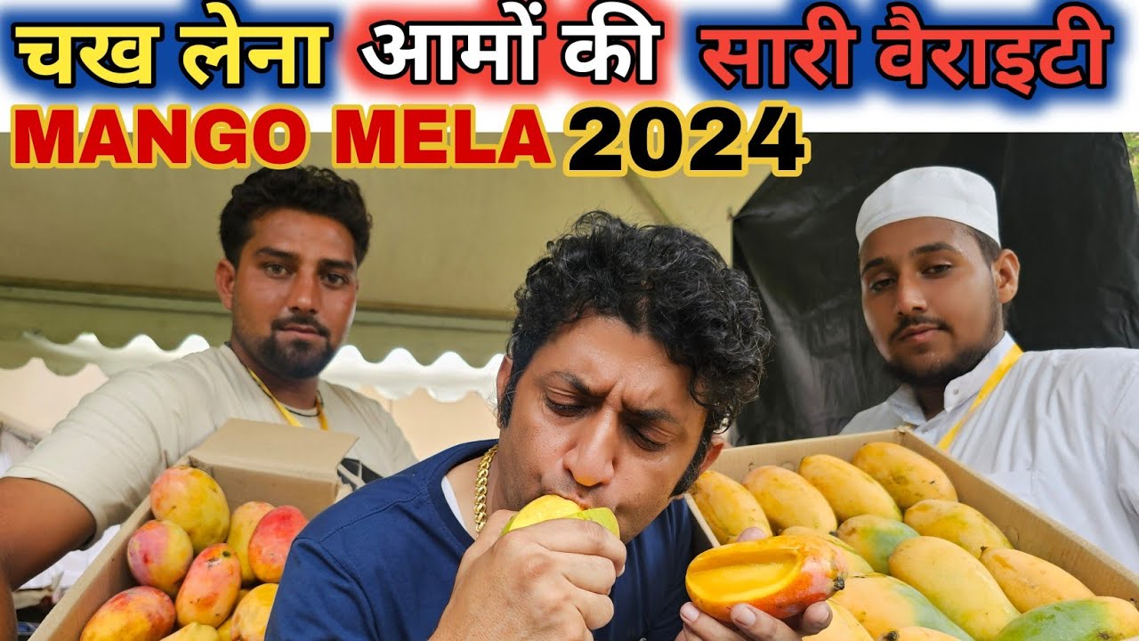 Tasting All Mangoes 🤑 at Mango Mela 2024 2025 Pinjore Garden ...