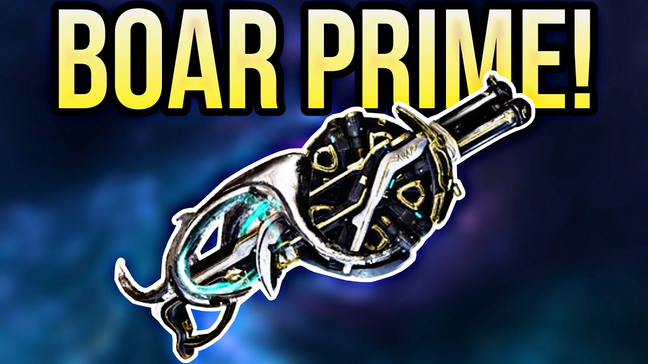 THIS BOAR PRIME BUILD HAS CRAZY DAMAGE! | WARFRAME - YouTube