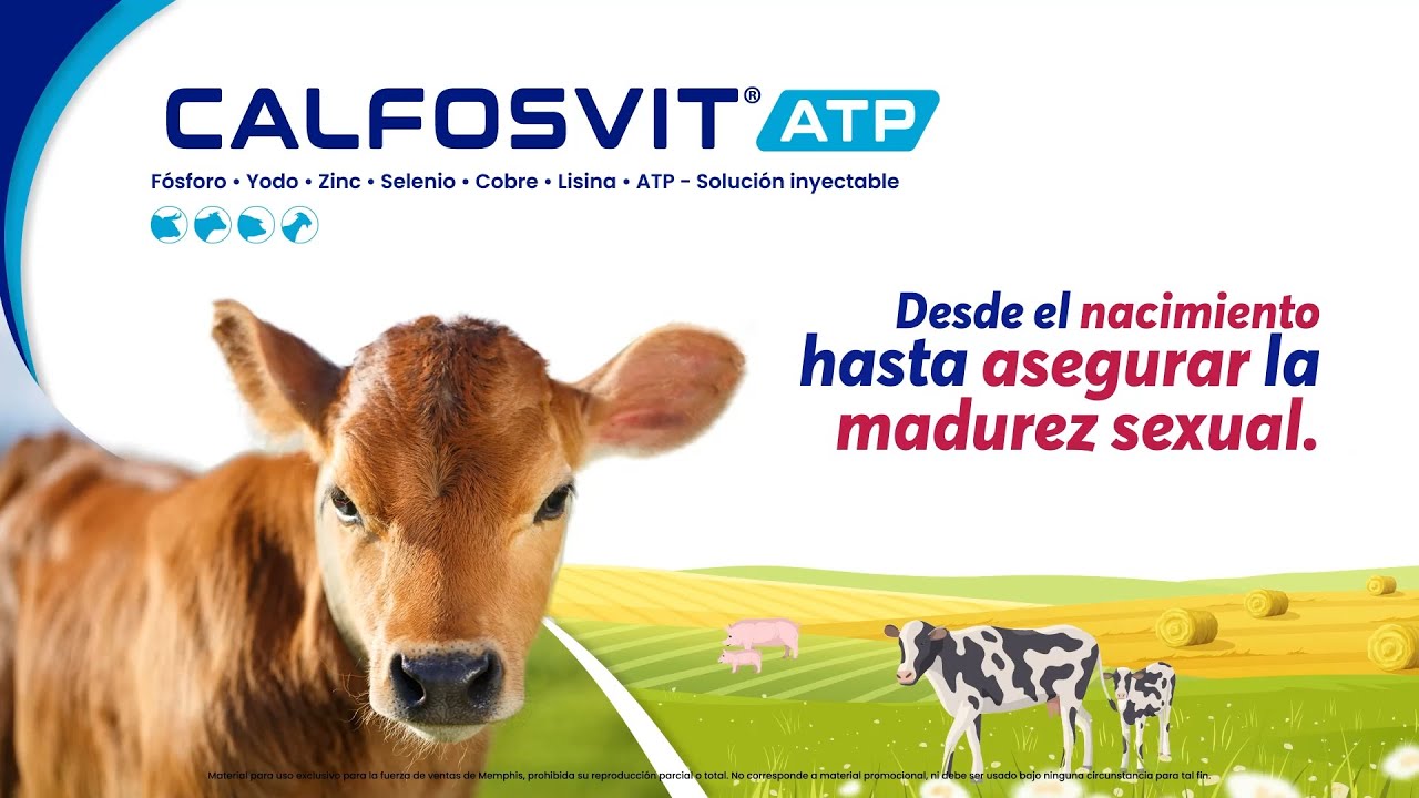 Garantiza un crecimiento sano y temprano de tu ganado con Calfosvit ATP ...
