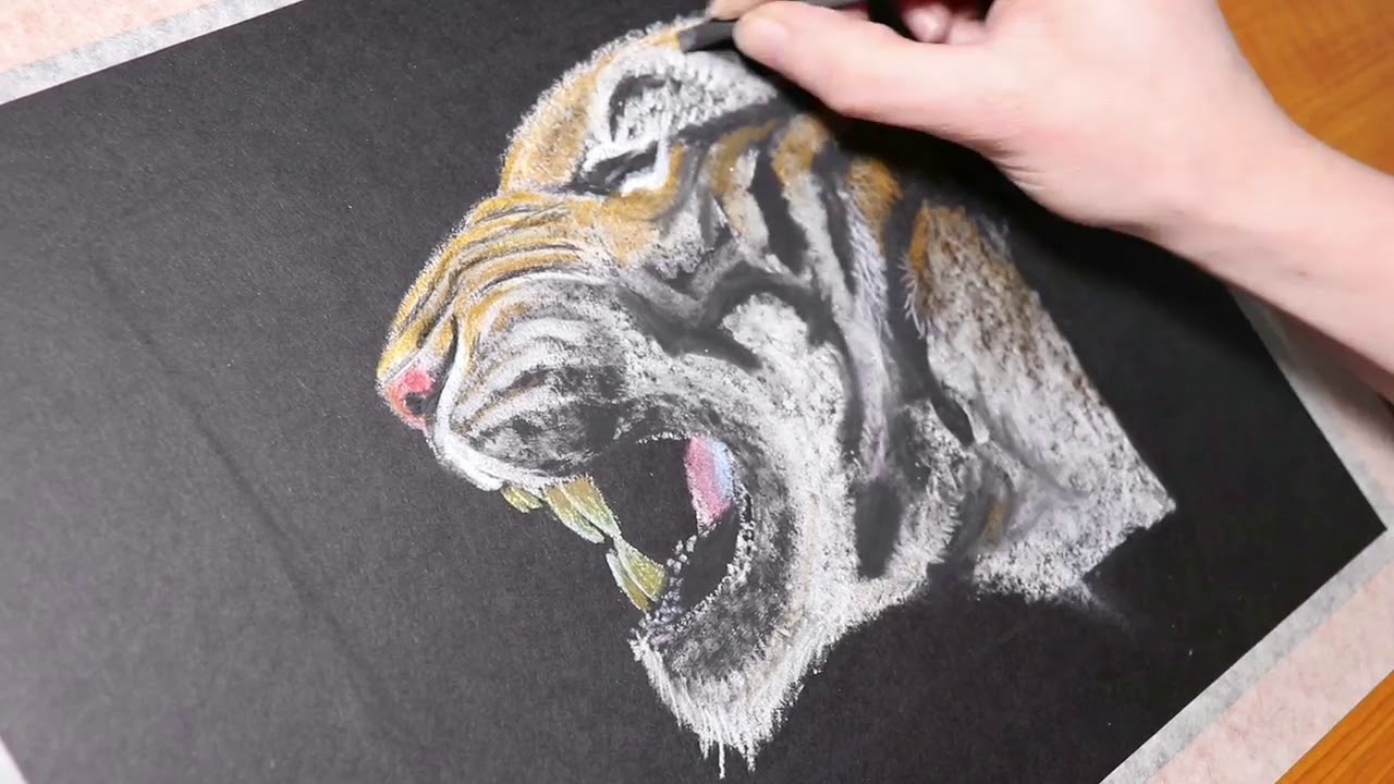 Drawing a tiger on black paper - YouTube