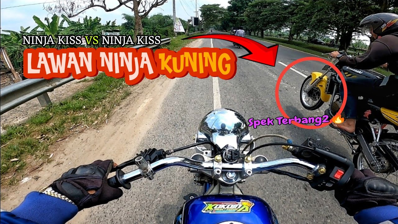 NINJA BIRU(FANDI) VS NINJA KUNING(RANDI) - JATI KEMBAR KUALANAMU 🔥 ...