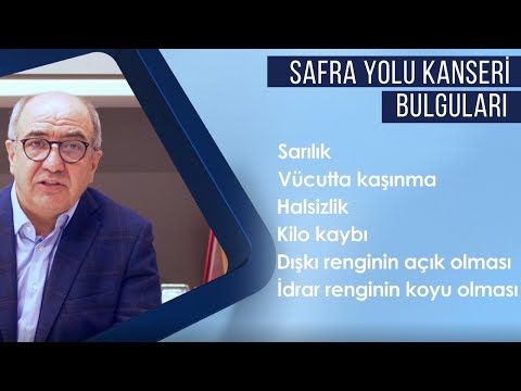 Safra Yolu Kanseri ve Tedavisi - Prof. Dr. Kamil Yalçın Polat