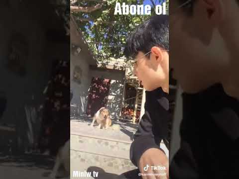 Tiktok Yeni Farklı Akım.....!!!!