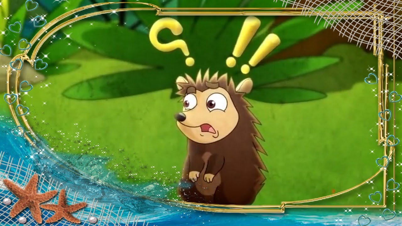 toyor al jannah New القنافذ طيور الجنة - YouTube