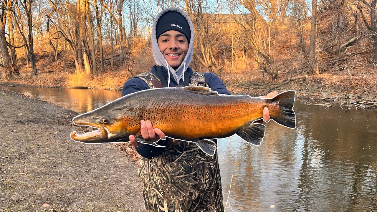 TROUT Fishing for BIG Brown Trout! with spinners (HOW TO CATCH BIG ...