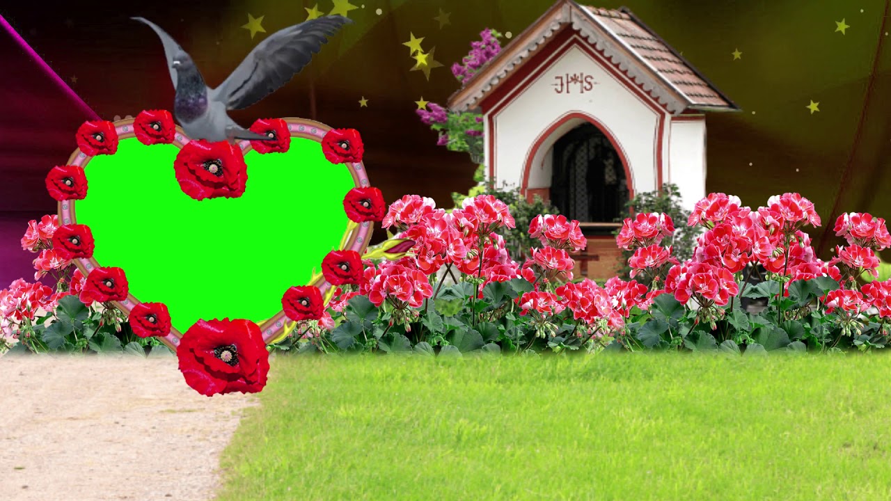 New 3D+Wedding green screen video love Photo frame background 2021 ...