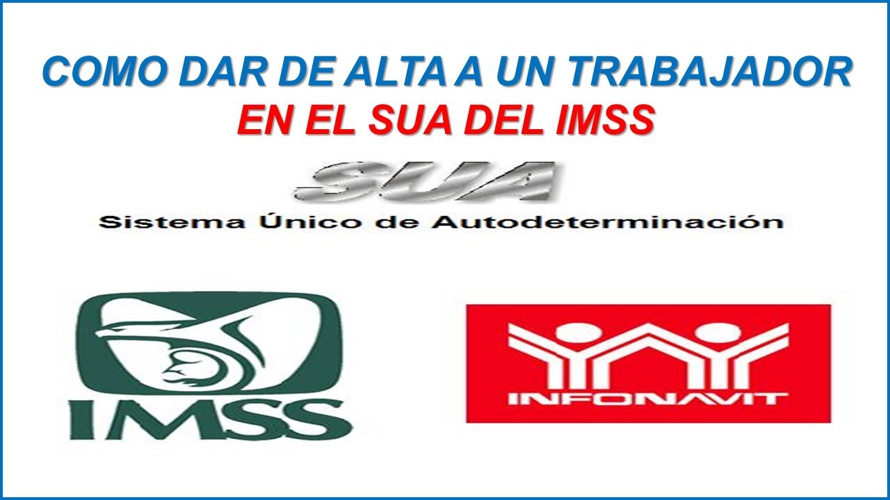 Que Es El Sua Del Imss