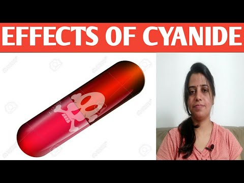 EFFECTS OF CYANIDE | CYANIDE POISONING | CYANIDE IN APPLE SEEDS ...