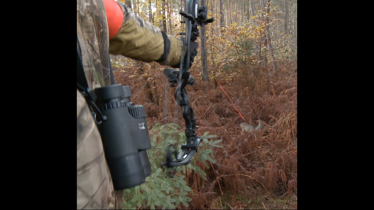HEART SHOT! Bow Hunting Deer Kill chasse à l'arc chevreuil - YouTube