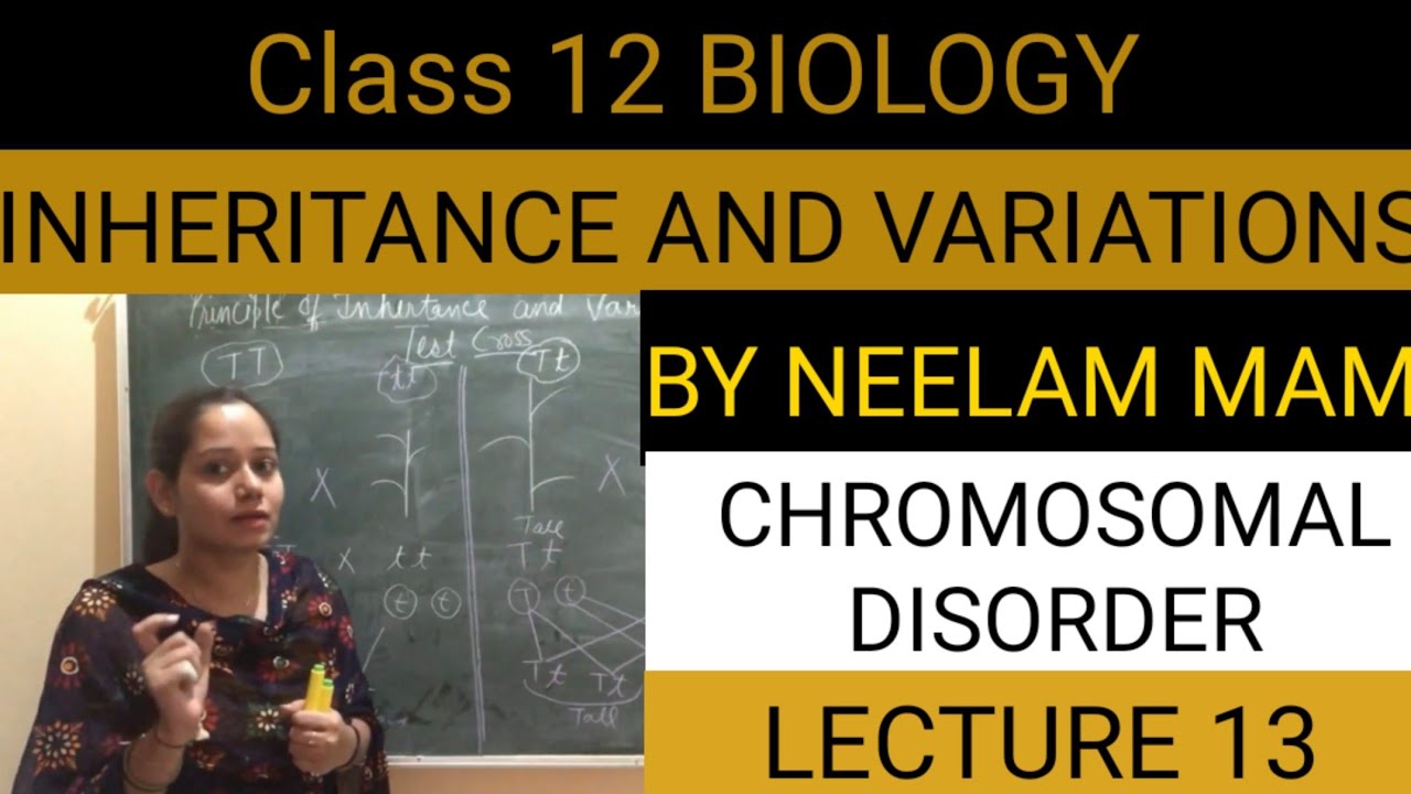Chromosomal Disorder Class 12 Biology Inheritance And Variations
