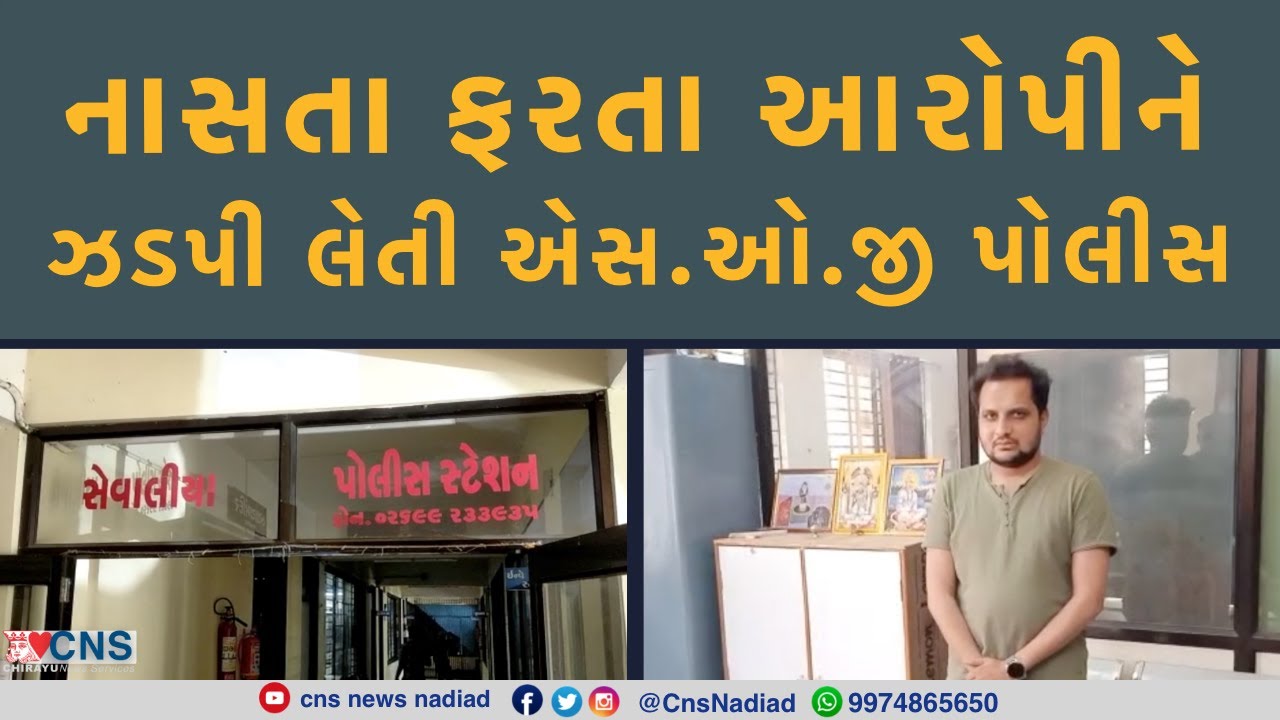 SEVALIYA : નાસતા ફરતા આરોપીને ઝડપી લેતી એસ.ઓ.જી પોલીસ - YouTube