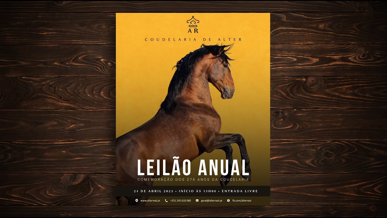 Leilão ALTER REAL 2023 | ALTER REAL Auction 2023 - YouTube