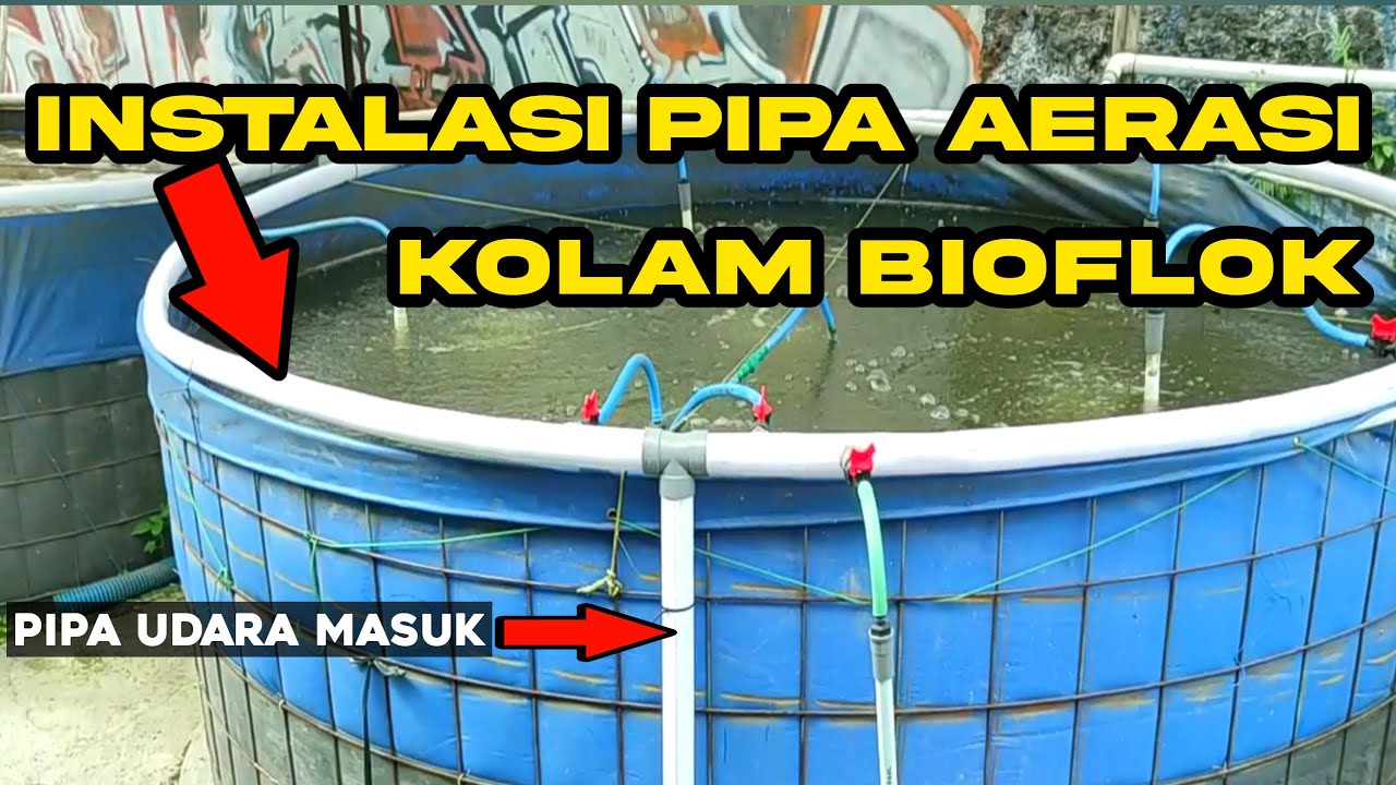 Instalasi Pipa Aerasi Udara Kolam Bioflok Youtube