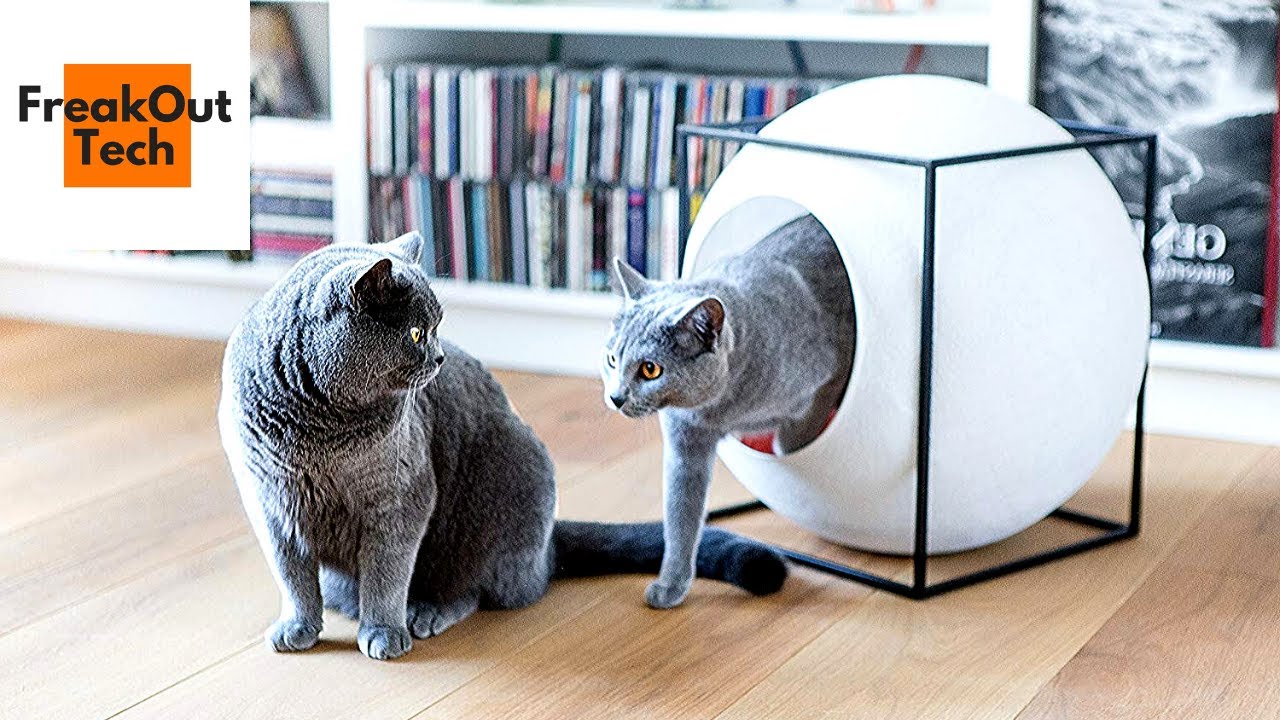 5 Incredible Cat Inventions You Never Knew About YouTube 5-incredible-cat-inventions-you-never-knew-about-youtube
