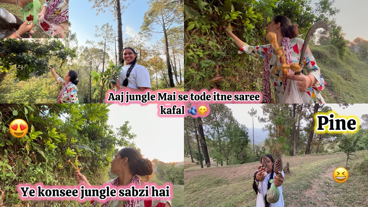 Aaj jungle 🤔Mai gue kafal todne but ye konse jungle sabzi mil gye 🤭 - YouTube