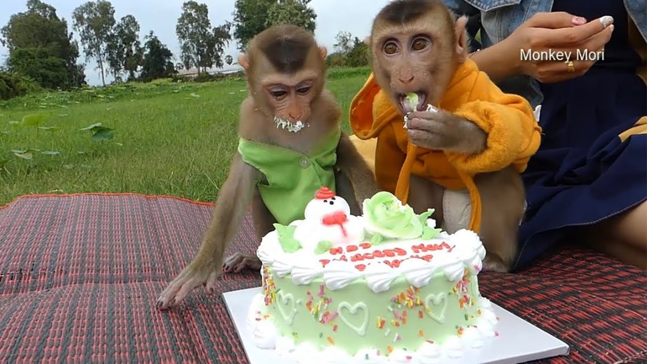 Wow Very Wonderful Day!! Dodo Surprise To Join Mori Birthday Party ...