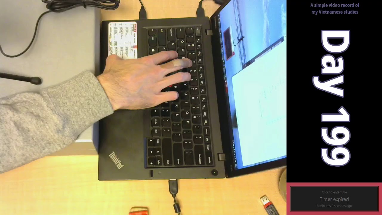 Day 199 - Vietnamese Live Stream - YouTube