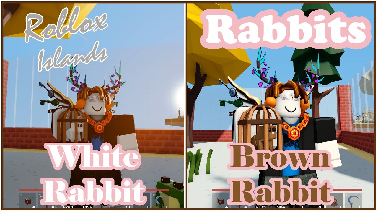 Bunnies! Rabbits in Roblox Islands! - YouTube