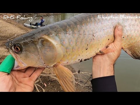 Day 2 Mary River Adventure, Surface Toga and Bass, Few Good Sootys To ...