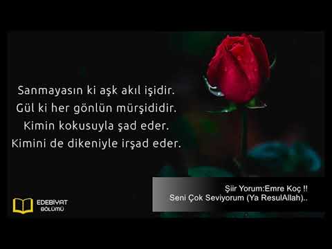 Seni Çok Seviyorum / Düet Şiir YENİ 2022-2023