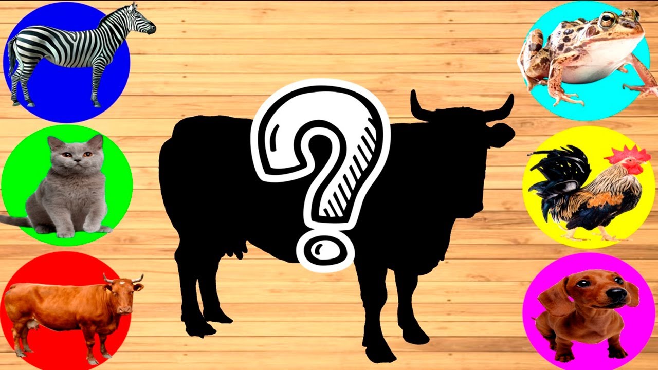 CUTE FARM ANIMALS Fox, Zebra, Rooster, Cat, Dog, Pig 여우,얼룩말,수탉,고양이,개,돼지 ...