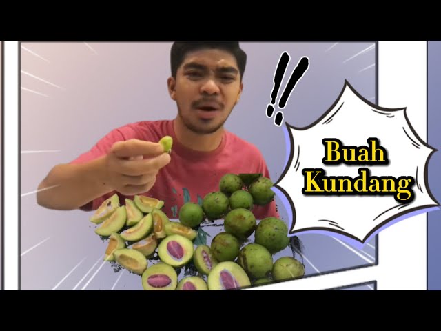 Buah Kundang Muda