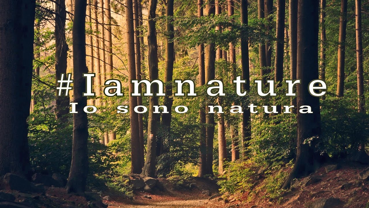 I am nature WWF - Sottotitoli in Italiano - YouTube